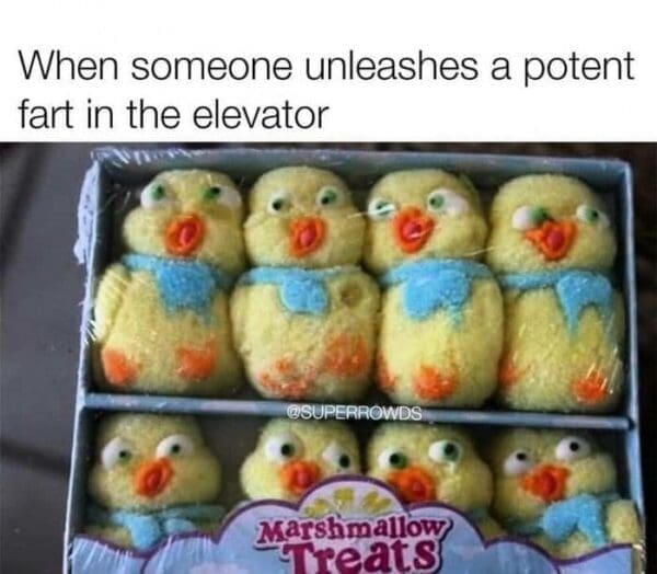 45 Fart Memes to Prove Everyone’s Inner Child is Alive and Well