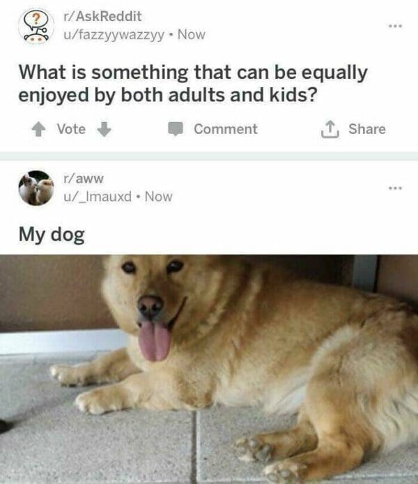 35 Funniest Screenshots That Earn a Spot in Meme History