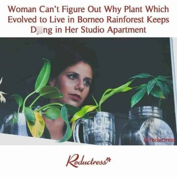 34 Gardening Memes For Gardeners Whose Thumbs Are More Aspirational ...