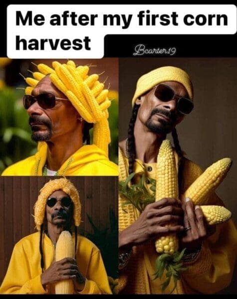 34 Gardening Memes For Gardeners Whose Thumbs Are More Aspirational ...