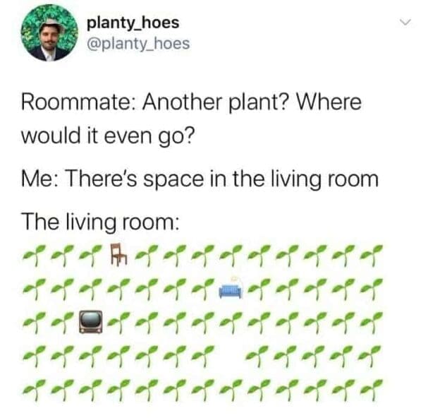 34 Gardening Memes For Gardeners Whose Thumbs Are More Aspirational ...