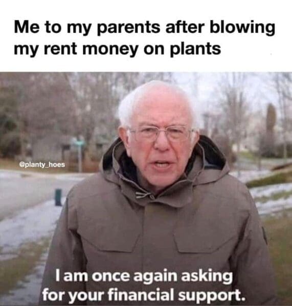 34 Gardening Memes For Gardeners Whose Thumbs Are More Aspirational ...