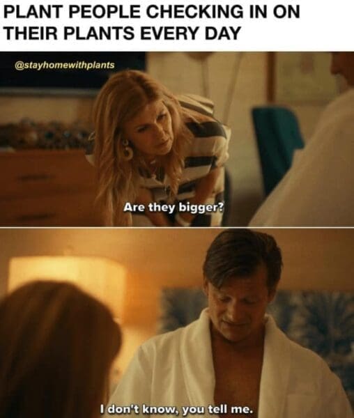 34 Gardening Memes For Gardeners Whose Thumbs Are More Aspirational ...