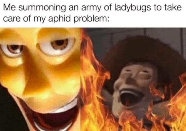 34 Gardening Memes For Gardeners Whose Thumbs Are More Aspirational ...