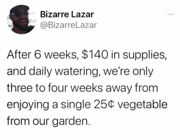 34 Gardening Memes For Gardeners Whose Thumbs Are More Aspirational ...