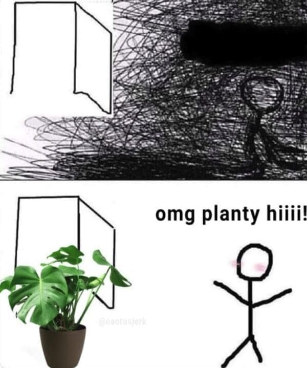 34 Gardening Memes For Gardeners Whose Thumbs Are More Aspirational ...