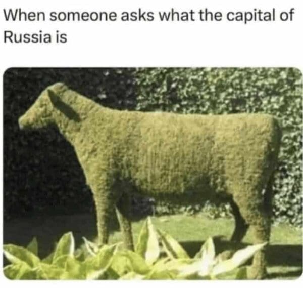 30 Geography Memes That Prove Borders Are Hilarious