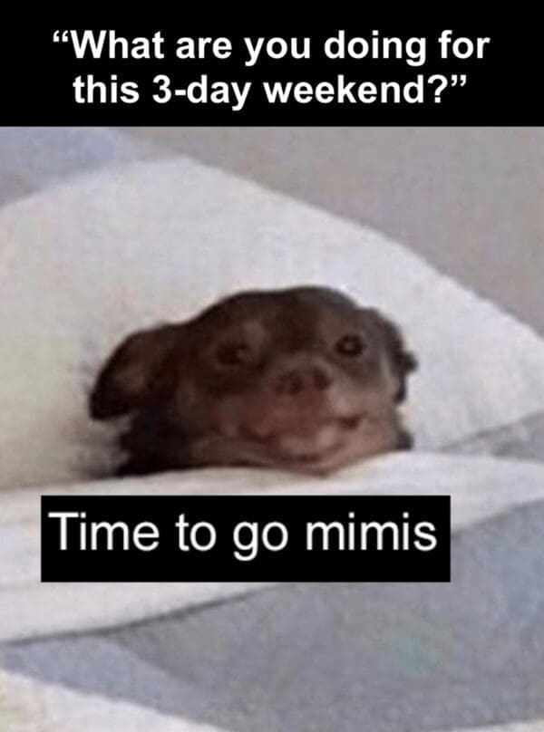 Long Weekend Meme Dump: 25 Jokes to Stretch the Holiday Vibes