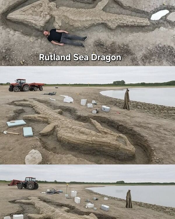 34 Ocean Memes for Beach Bums and Deep Divers