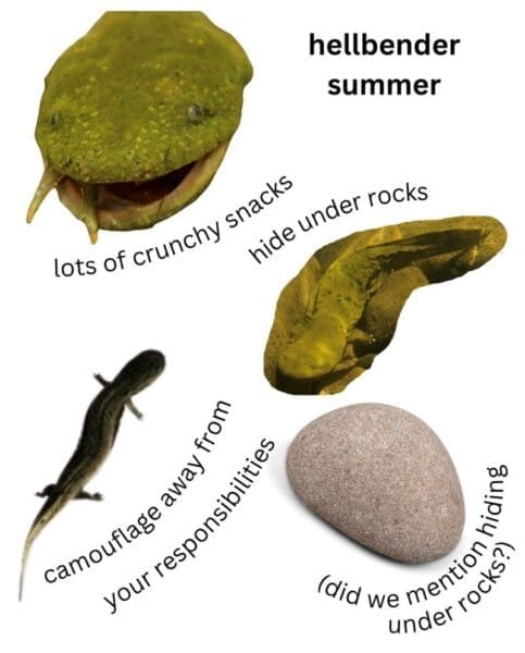 34 Ocean Memes for Beach Bums and Deep Divers
