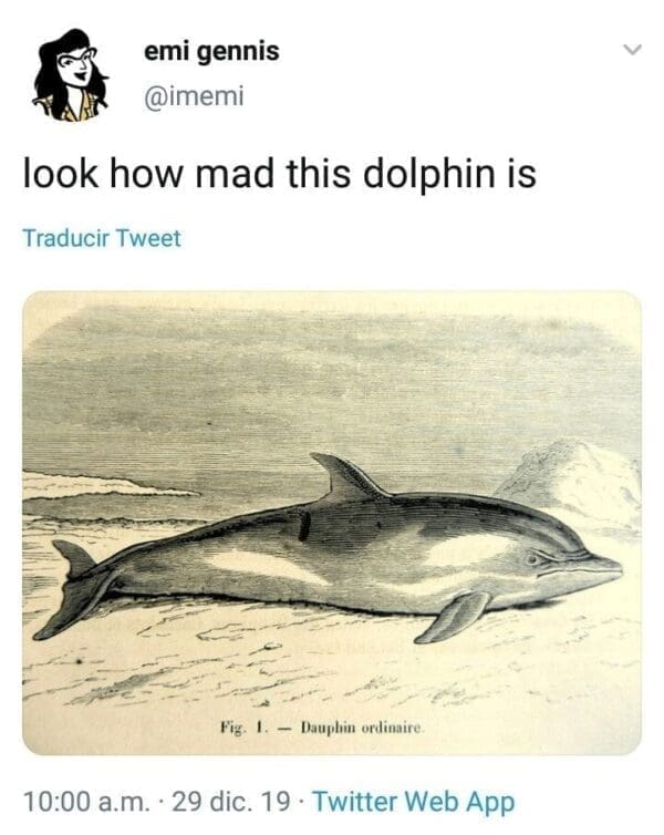 34 Ocean Memes for Beach Bums and Deep Divers