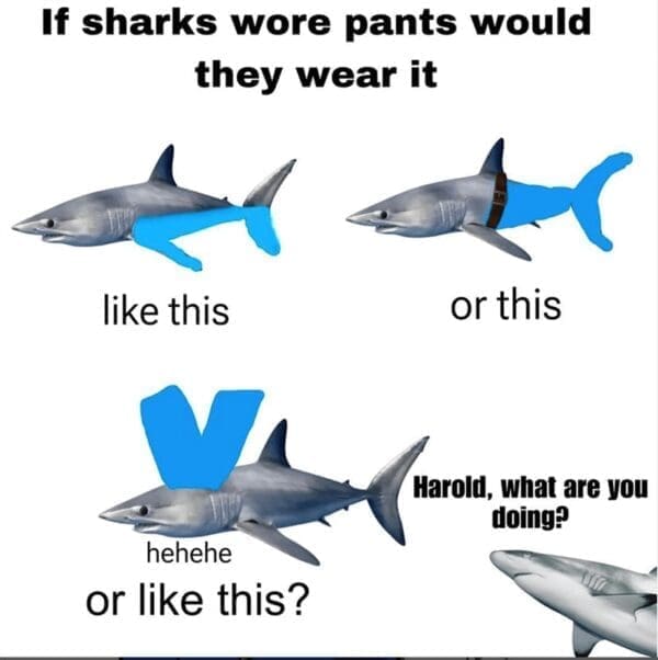 34 Ocean Memes for Beach Bums and Deep Divers