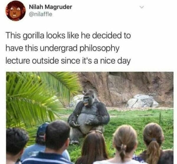 45 Philosophy Memes That Make Wisdom Weird
