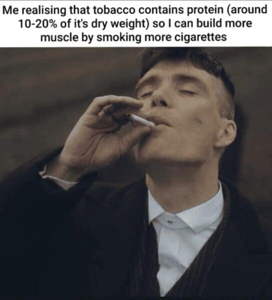 25 Protein Memes For Gym Rats Whose Humor Is As Heavy As Their Lifts