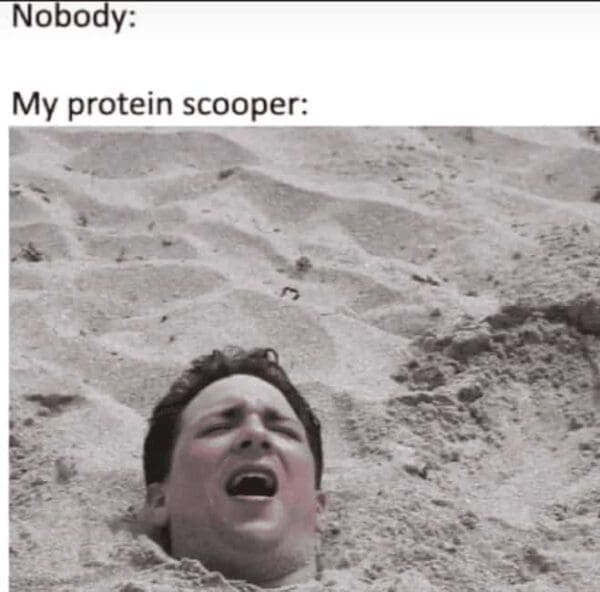 25 Protein Memes For Gym Rats Whose Humor Is As Heavy As Their Lifts