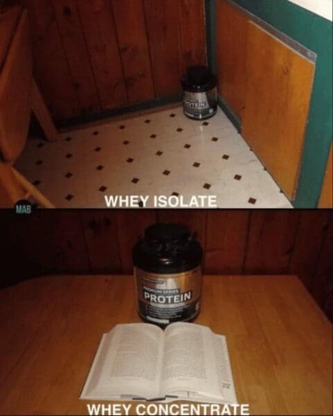 25 Protein Memes For Gym Rats Whose Humor Is As Heavy As Their Lifts