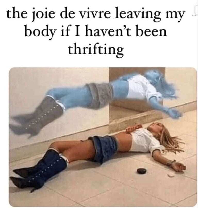Thrift Store Memes: 35 Gems For Vintage Dumpster Diving