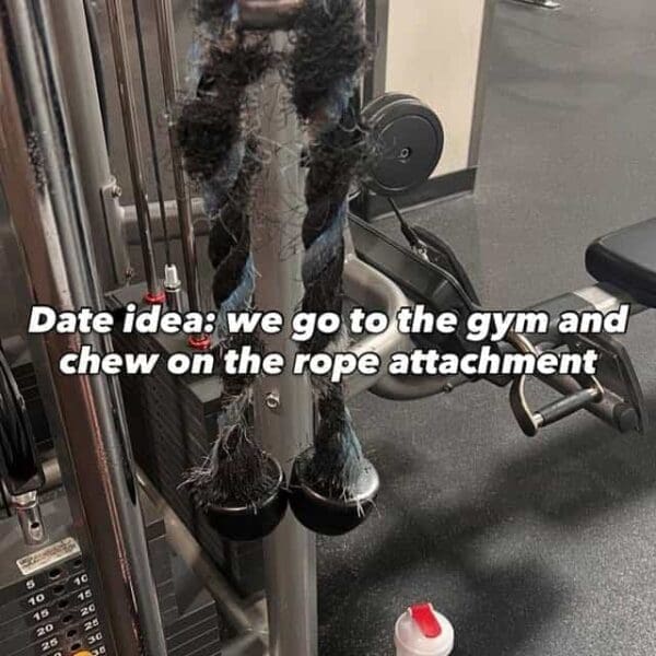 32 Weight Lifting Memes That Lifted My Spirits More Than I Can Lift a ...