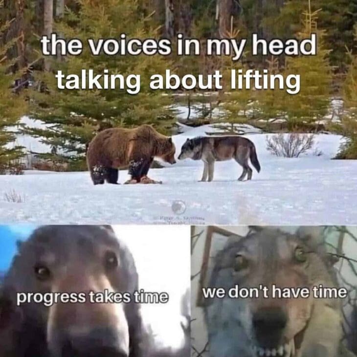 32 Weight Lifting Memes That Lifted My Spirits More Than I Can Lift a ...
