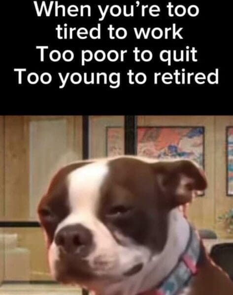 30 Painfully Relatable Work Memes For Friday Fun