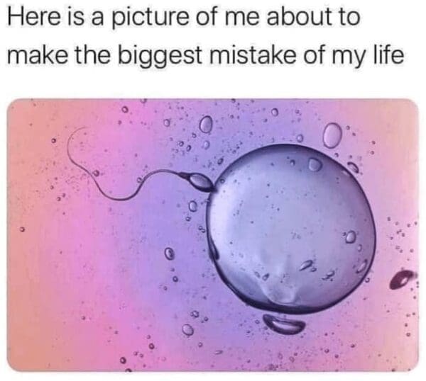 34 Anxiety Memes for People Who Overthink Professionally