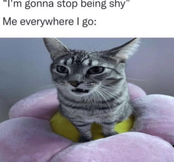 34 Anxiety Memes for People Who Overthink Professionally