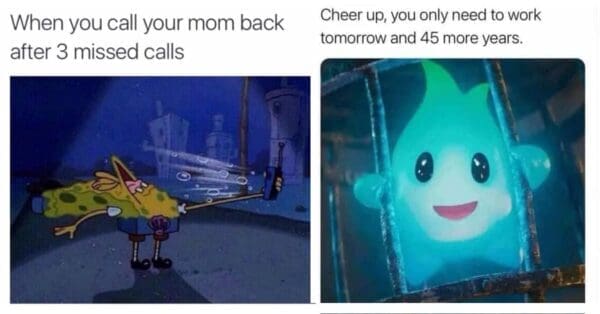 37 Funny Technology Memes for Those That Chose the BUG Life