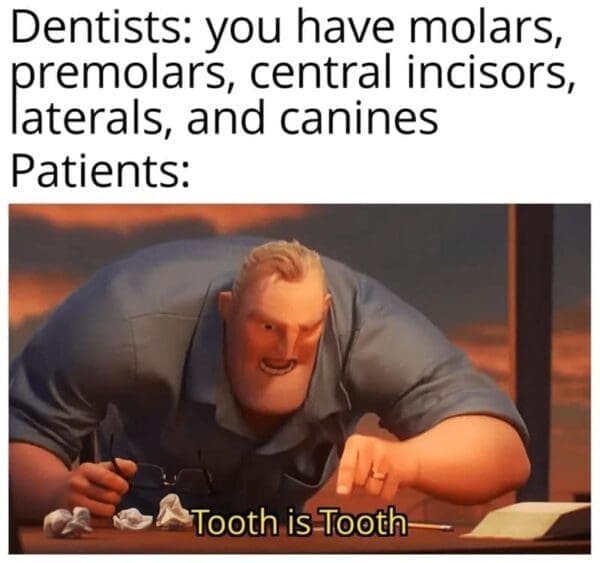 40 Dental Memes To Make Your Next Cleaning Less Scary
