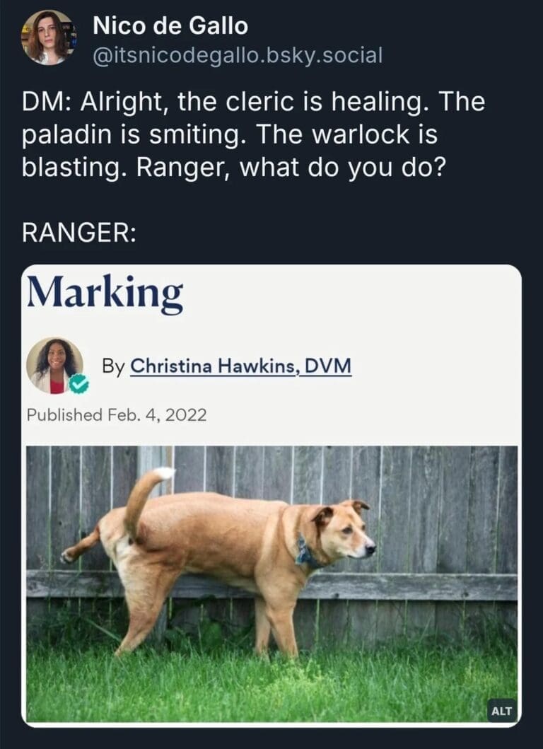 32 DnD Memes for Every Player, DM, and Dice Goblin