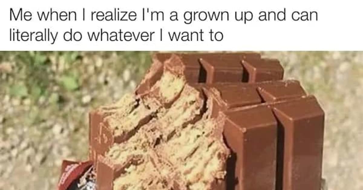 Frog Memes: 30 Memes That'll Croak You Up Instantly