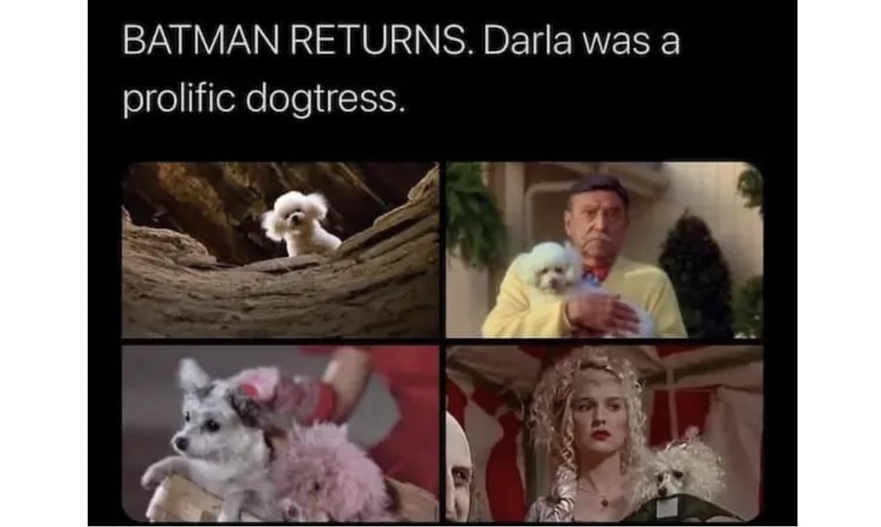 30 acation Memes for Anyone Needing a Break Right Now