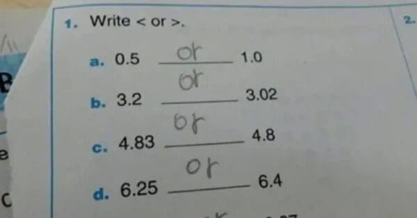 40 Funny Test Answers That Teachers Had To Share