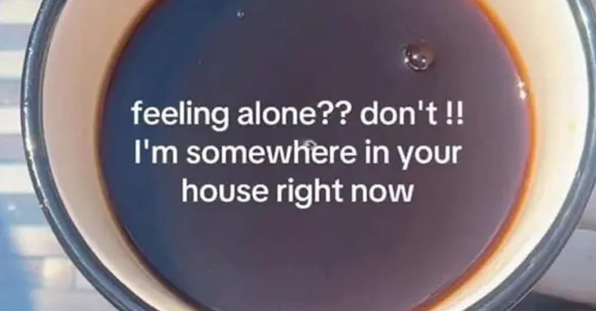 25 Funny Memes In a Perfect Lunch Break Meme Dump