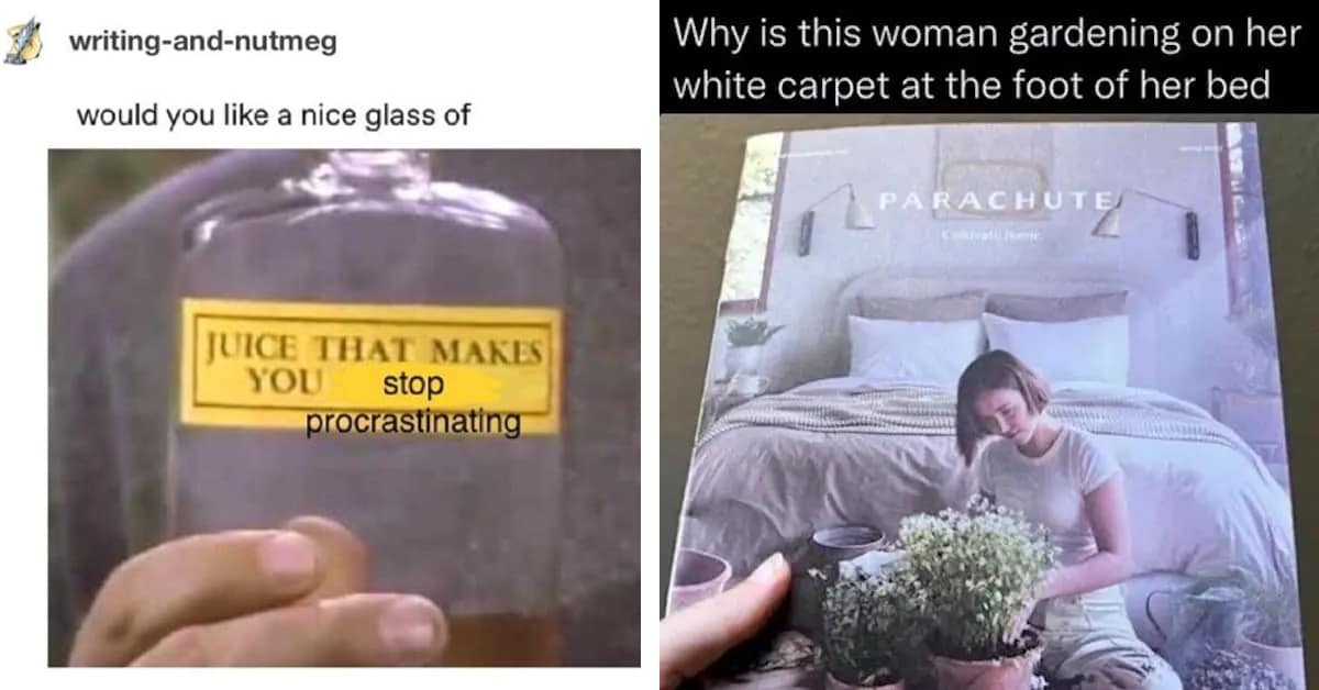 35 Chipotle Memes for Double-Meat Diehards