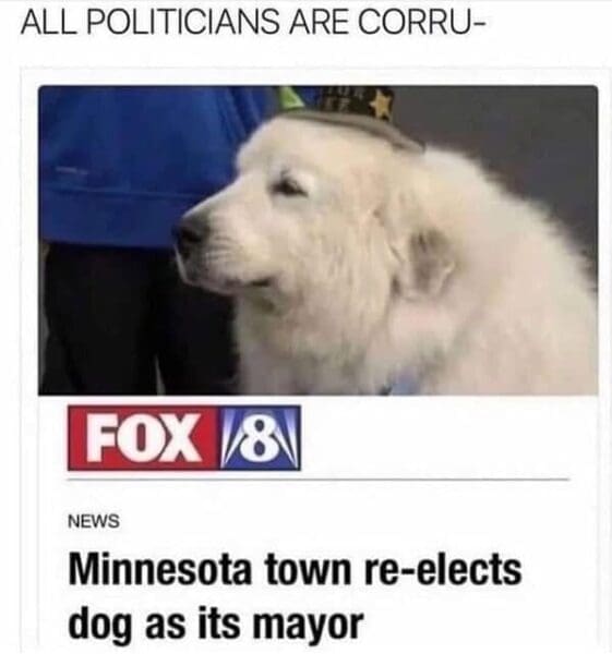 35 Minnesota Memes for Folks Who Survive the Nice and the Ice