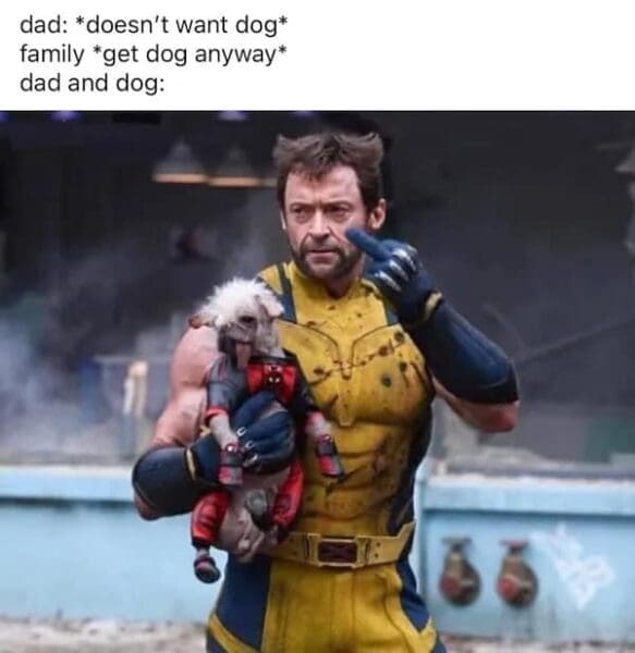 28 Nerd Memes That Every Geek Will Feel in Their Bones