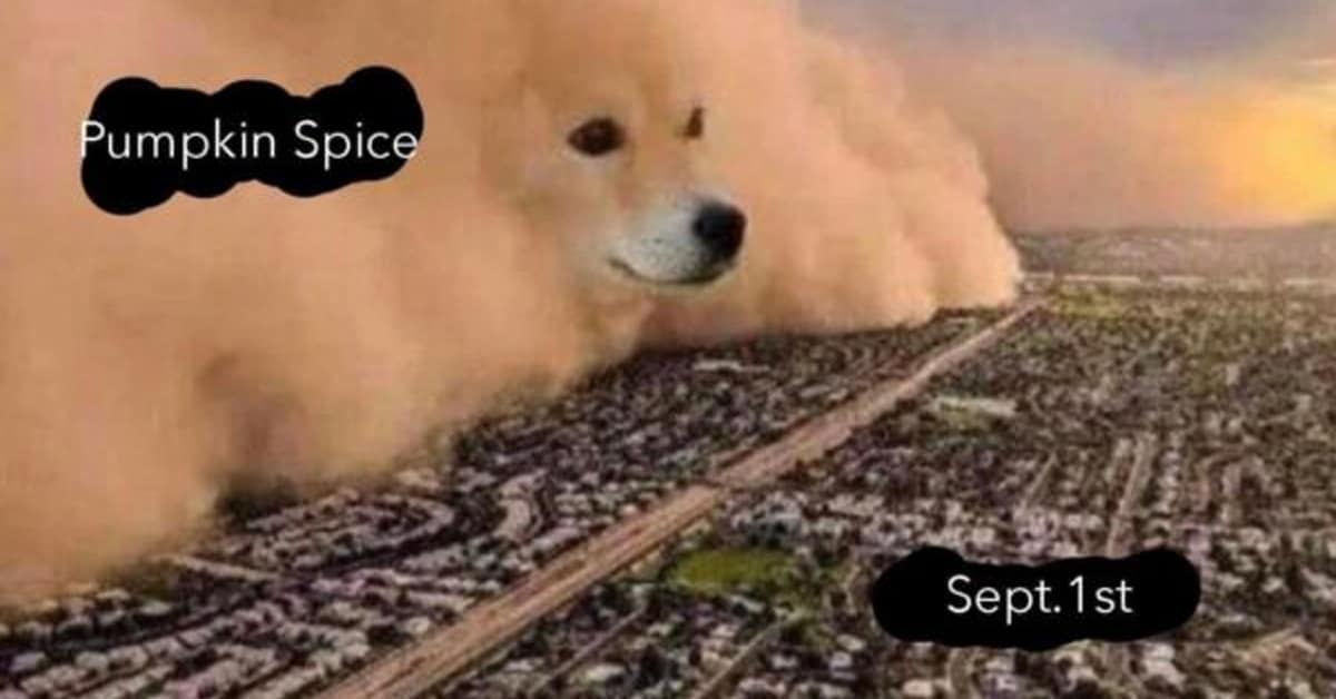 Witch Memes: 35 Memes for Witchy Vibes This Halloween