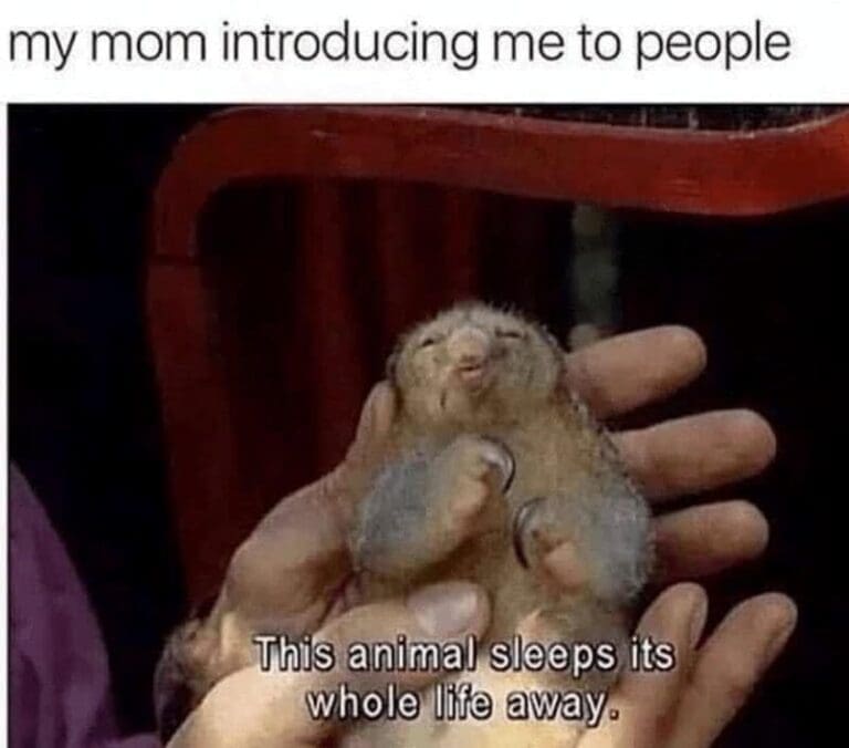 35 Sleepy Memes for People Who Treat Naps Like Appointments