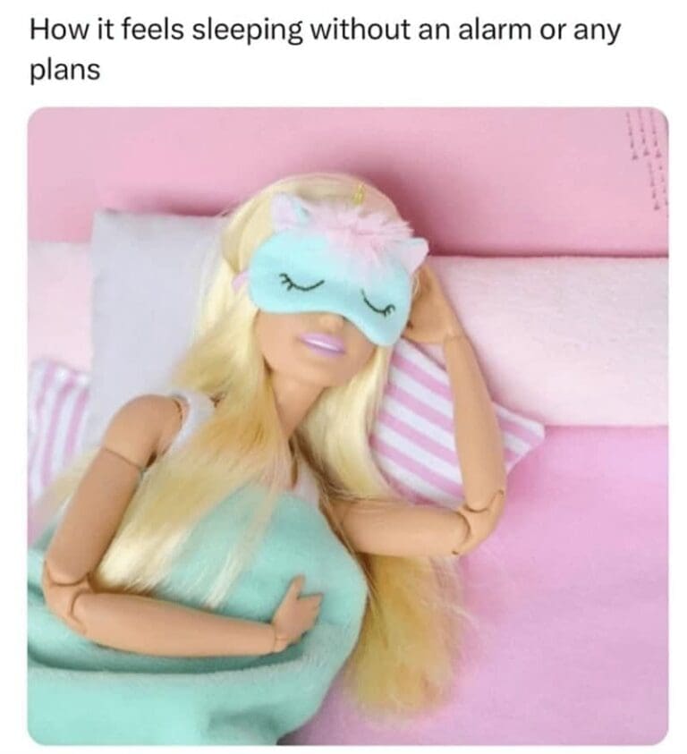 35 Sleepy Memes for People Who Treat Naps Like Appointments