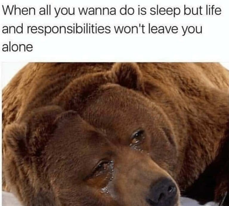 35 Sleepy Memes for People Who Treat Naps Like Appointments
