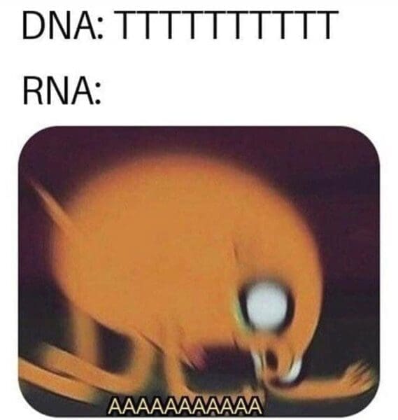 40 STEM Memes For Lab Coats and Pocket Protectors