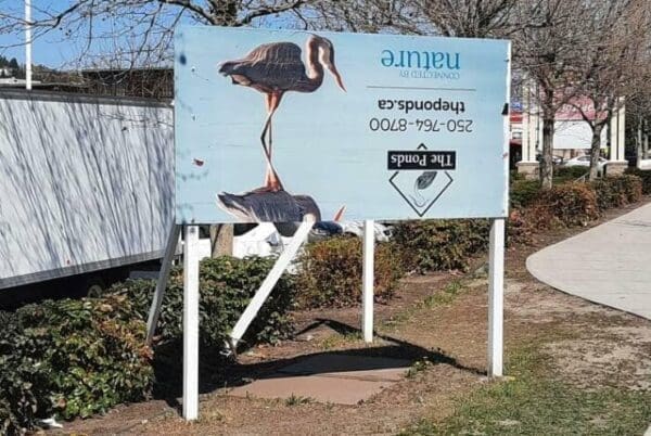 45 of the Worst Ads That Turned Boards Into Billboards of Regret