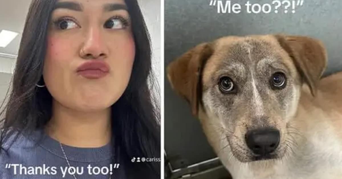 30 Memes for Introverted Leaders Who Really Don’t Enjoy Thinking ...