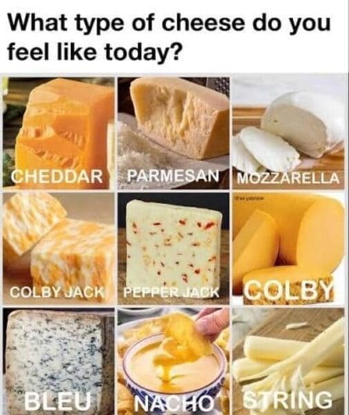 25 Cheese Memes For Folks Who Grate With Purpose