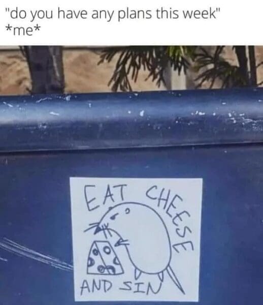 25 Cheese Memes For Folks Who Grate With Purpose