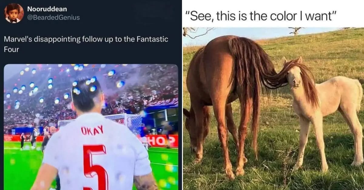 40 Funny Pun Memes That Are Hilariously Dumb