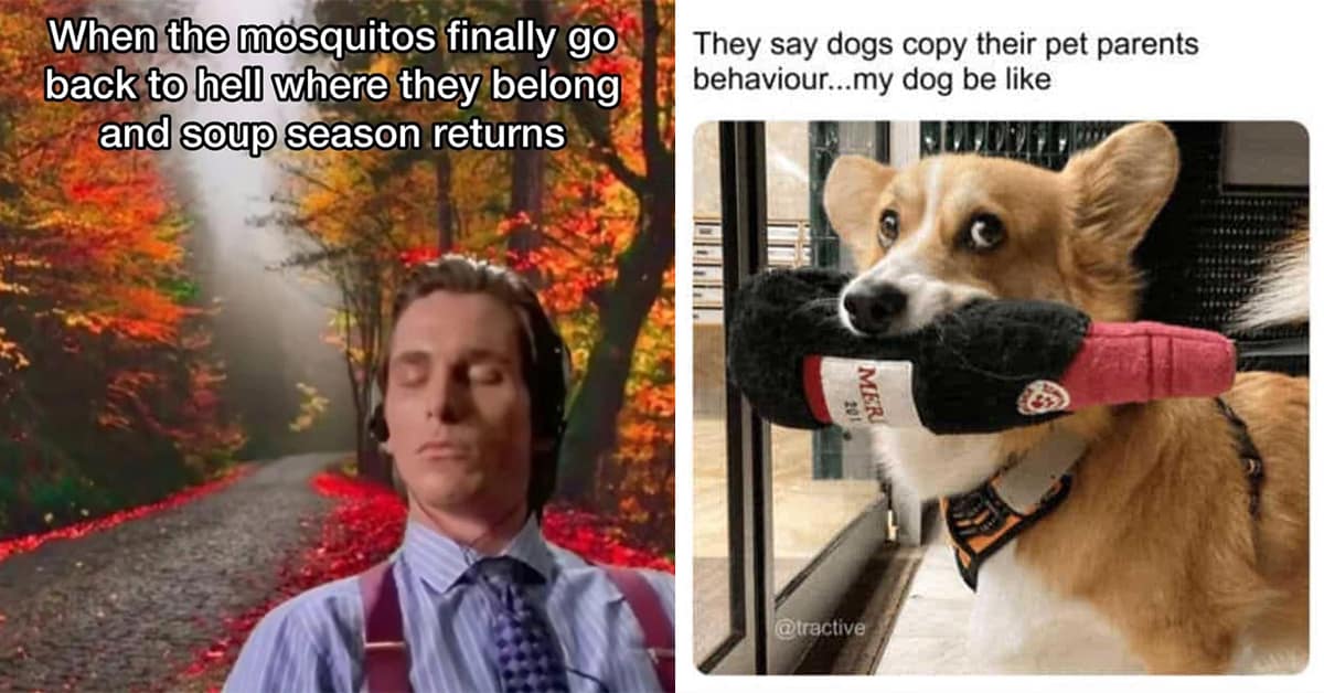 The Morning Commute - 25 Daily Funny Pictures and All the Memes You Missed