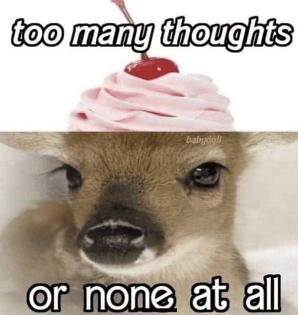 33 Dark Humor Memes That Laugh Into the Void