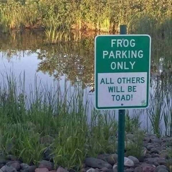 35 Funny Signs Spotted and Snapped In The Wild