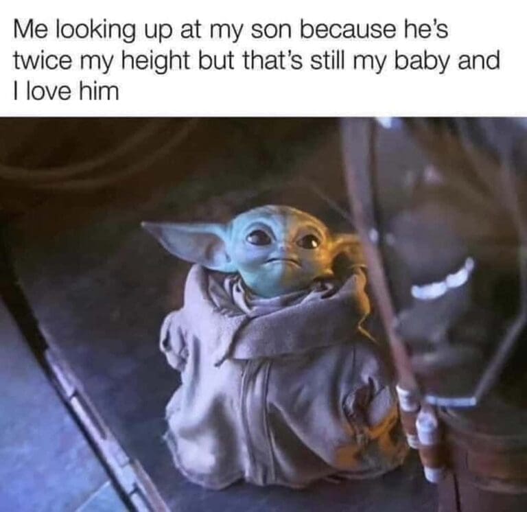 30 Mandalorian and Grogu Memes After the Teaser Drop